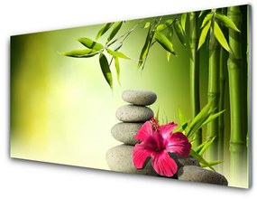 akrylový obraz Bambus Květ Kameny Zen 125x50 cm