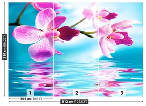 Fototapeta Voda orchidej 104x70