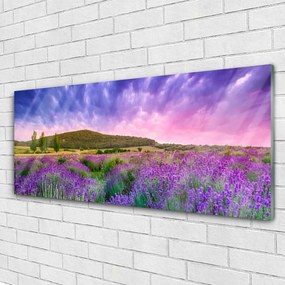 akrylový obraz Louka Květiny Hory Příroda 125x50 cm