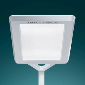 Stojací lampa LED Yara.single 4 000K, LTX stříbro