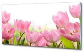 Wallmuralia Foto obraz skleněný horizontální Růžové tulipány 100x50