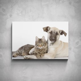 Obraz - Pejsek s kočičkou - PopyDesign