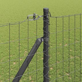 Evropský plot se hroty 10 x 1,6 m Ocel potažená PVC Šedá 3350649