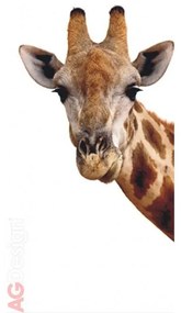Fototapeta vliesová jednodílná Žirafa