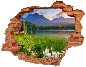 Wallmuralia Díra 3D ve zdi na stěnu Jezero v horách 90x70 cm