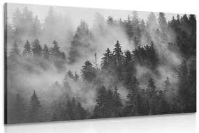 Obraz hory v mlze v černobílém provedení - 120x80 cm