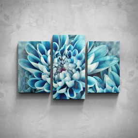 3-dílný obraz - Ledově modrý květ - PopyDesign