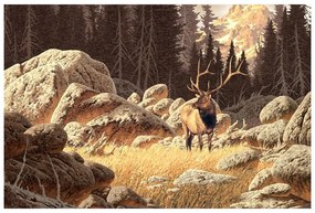 Obraz jelena (120x80 cm), 40 dalších rozměrů