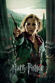 Umělecký tisk Harry Potter - Hermione Granger, (26.7 x 40 cm)