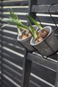 Závěsný držák na dva květináče, černá barva, kov 24,5cmxx20,5cm