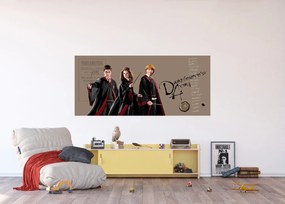 Dětská vliesová fototapeta na zed' Harry Potter | 170 x 75 cm | DFTDNH5515
