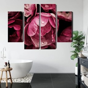 Vícedílný obraz Pivoňka Květiny Zblízka 3D Nedostatek Nedostatek Přírodní plátno 200x150