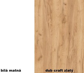 3D | komoda 3D | bílá/dub kraft zlatý