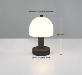 Černo-bílá stolní lampa se skleněným stínidlem (výška 19 cm) Glenn – Reality