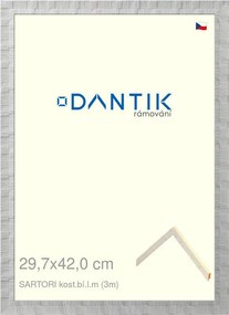DANTIK rámeček 29,7x42 | SARTORI kost.bí.l.m (Plexi Čiré)