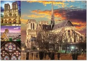 EDUCA Puzzle Notre Dame koláž / 1000 dílků / od 14 let