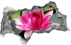 Wallmuralia Samolepící nálepka fototapeta Vodní lilie 95x73 cm