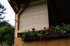 Vingo Dřevěná roleta na pergolu – přírodní, 2. jakost Šířka rolety: 100 cm, Rozvin rolety: 150 cm