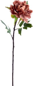 Umělá květina (výška 65 cm) Peonia – Light &amp; Living
