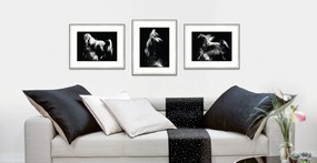 Elegantní triptych s lipicány do obývacího pokoje a pracovny - Série Lipicáni | Anna Borkowska