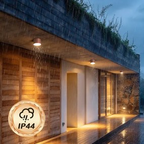 BRILAGI - Venkovní stropní svítidlo FORIS LED/9W/230V pr. 9 cm bronzová IP44