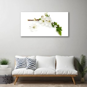 Obraz na plátně Květ Větev Příroda 140x70 cm