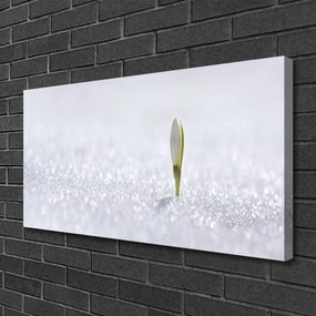 Obraz na plátně Sněženka Sníh Zima 120x60 cm