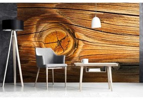 DIMEX | Samolepicí vliesová fototapeta na zeď Dřevěný suk MA-5-0157 | 375 x 250 cm | hnědá, šedá