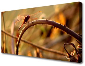 Obraz na plátně Vážka Příroda Rostlina 100x50 cm