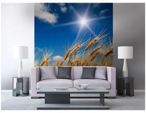 DIMEX | Vliesová fototapeta na zeď Pšeničné pole MS-3-0136 | 225 x 250 cm | modrá, bílá, béžová