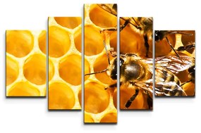Sablio Obraz - 5-dílný Včely - 125x90 cm