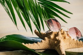 Fototapeta sluneční brýle na mušli - 225x150 cm