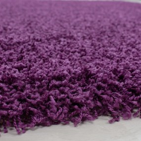 Ayyildiz Kusový koberec DREAM 4000, kulatý, Lila Rozměr koberce: 80 cm KRUH