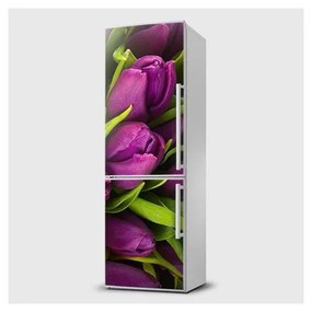 E-shop24, Pi51SL987, Rozměr 65x180 cm, Fototapeta samolepící na lednice - Tulipány