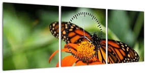Obraz motýla na květině (s hodinami) (90x30 cm)