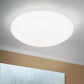 LED stropní svítidlo Nedo zakřivené, Ø 33 cm