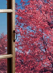 Malvis ® Obraz okno růžový strom Velikost (šířka x výška): 90x60 cm