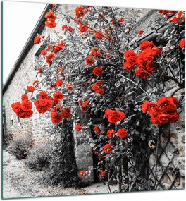 Skleněná Ochranná Deska Panel Lepidlo 60x65 KVĚTINYTvrzené Sklo Kuchyně 7v1