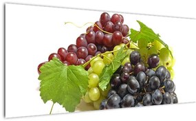 Hroznové víno - obrazy (100x40cm)