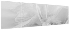 Obraz - Peří (170x50 cm)