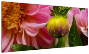 Obraz květu rostliny (100x40cm)