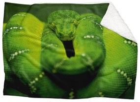 IMPAR Fleecová deka Zelený had 150x120 cm (Rozměr : 150 x 120 cm, Podšití beránkem: ANO)