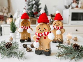 Láhev na vaječný likér GINGER BUDDY 350 ml, červená/bílá