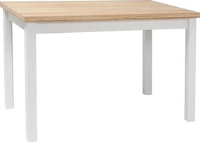 Casarredo - Komfort nábytek Jídelní stůl ADAM 100x60, dub/bílá mat