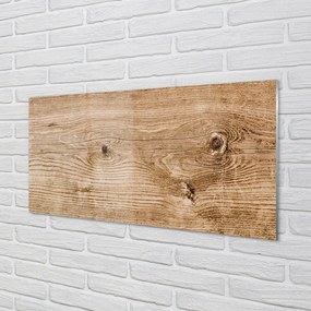 akrylový obraz Plank dřeva 100x50 cm