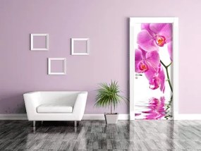 Samolepící fototapeta na dveře 95x210cm - orchidej