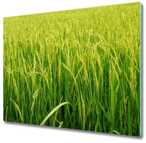 Skleněná krájecí deska Pole rýže 60x52 cm