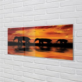 akrylový obraz sloni West Lake 120x60 cm