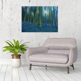 Obraz - Modrý les (70x50 cm)