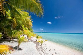 DIMEX | Samolepicí vliesová fototapeta na zeď Pláž na tropickém ostrově MA-5-3242 | 375 x 250 cm | zelená, modrá, krémová